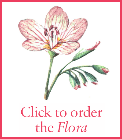 Flora Mobile App | Flora of Virginia Project