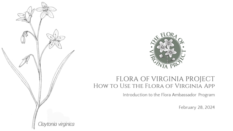Ambassador Program Resources - The Flora of Virginia Project